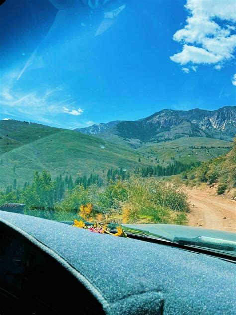 Utah Redwood Tree Utah AllTrails