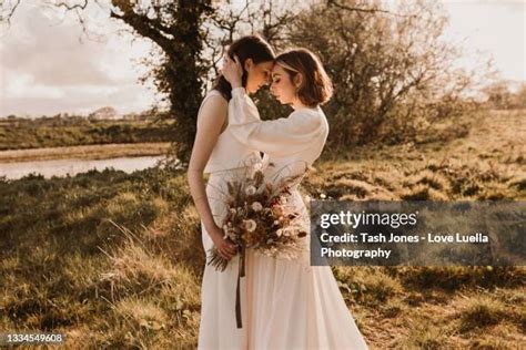 The Bohemian Forest Photos And Premium High Res Pictures Getty Images