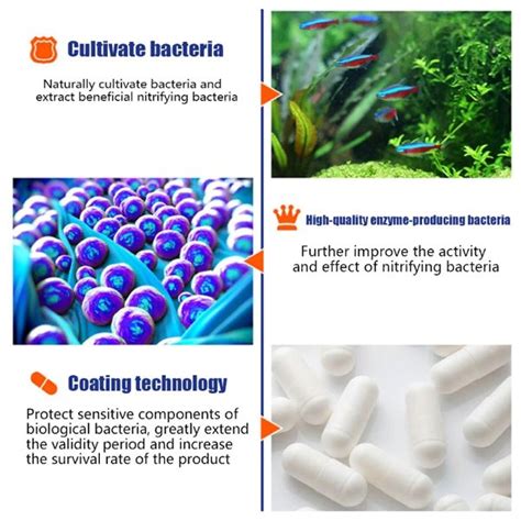 Aquarium Tank Nitrifying Bacteria Aquarium Directory
