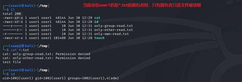 Linux 特权 Suidsgid 的详解 Csdn博客