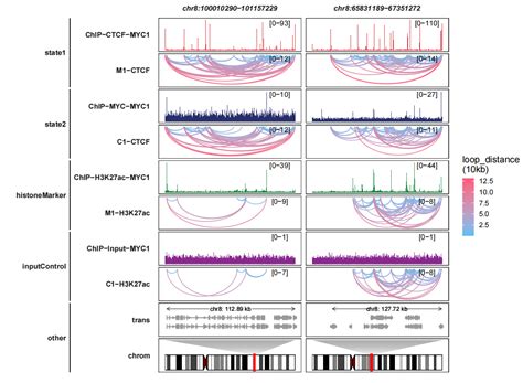 Chapter 6 Loops Visualization Biosequtils Reference