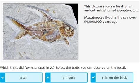 IXL Compare Fossils To Modern Organisms 3rd Grade Science Practice