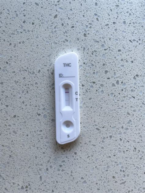 Urine Testing Rausents