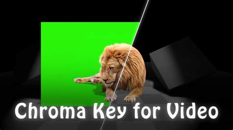 Chroma Key For Video Unity Asset Store Youtube