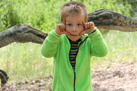 Park Dinozaur W Dinopark Dinozaury Dla Dzieci Osesek Pl
