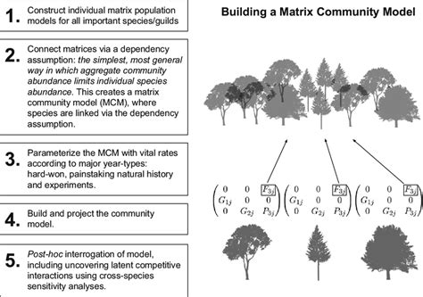 building and projecting a matrix community model the right panel