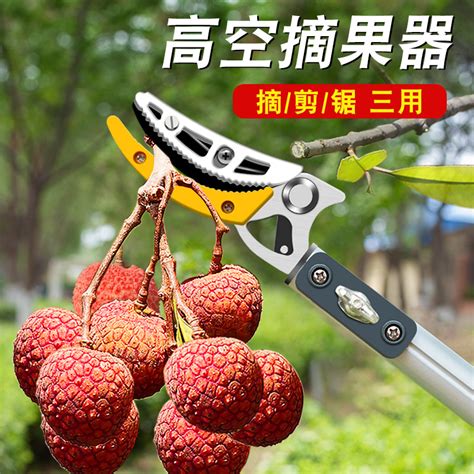 USD Fruit Picker Pruning Stretching Rod Picker Yang Mei Loquat Litchi Dragon Eye Picker