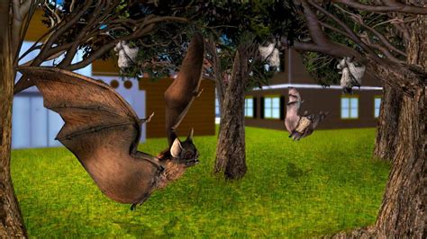 Wild Bat Simulator 3d Apk For Android Download