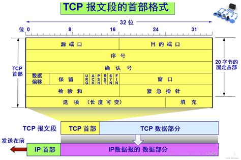 Tcpudp的首部udp首部 Csdn博客