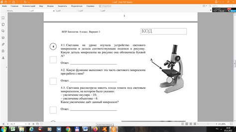 Подготовка к ВПР по биологии 5 класс (карточки с заданиями по темам)