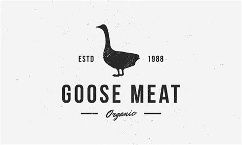거위 고기 아이콘 거위 실루엣과 그런지 질감의 엠블럼 템플릿 벡터 일러스트레이션 가금류에 대한 스톡 벡터 아트 및 기타 이미지 가금류 가축 거위 새끼 Istock