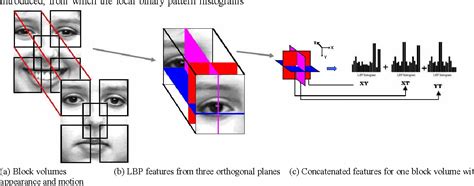 Figure 1 From Experiments With Facial Expression Recognition Using Spatiotemporal Local Binary