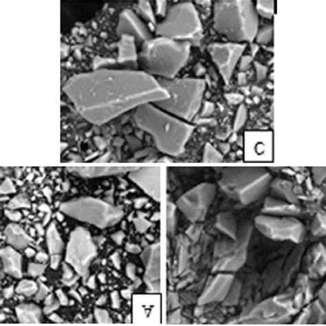 Sem Micrographs Of Hydroxyapatite Particles A Pure Hap B 1 Mol