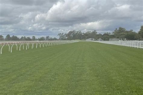Pacers Hit The Grass Track At Gatton On Sunday Harnesslink
