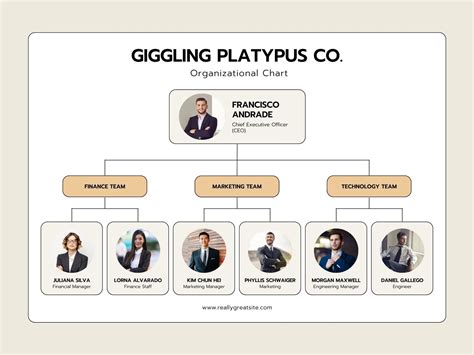 The Organizational Chart Show Board A Important Software For