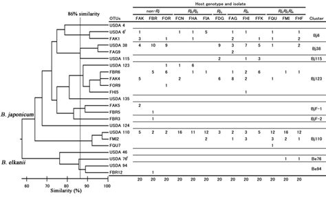 Dendrogram Based On Rflp Patterns Of The 16s23s Rdna Internal