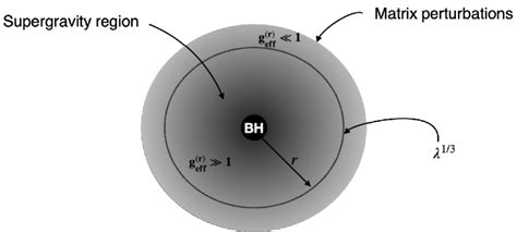 A Pictorial Representation Indicating The Gravity And Matrix Model