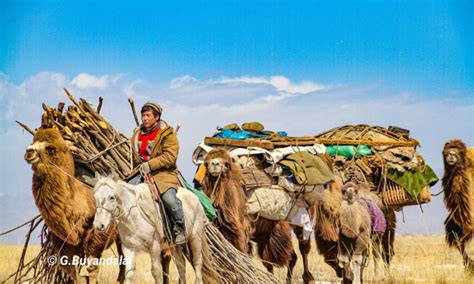 Тайлай судалгаа