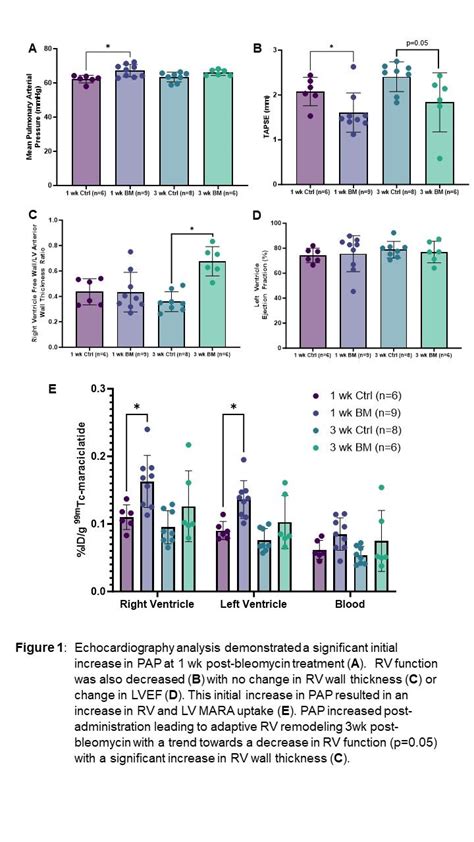 Assessment Of Right Ventricular Î±vÎ²3 Integrin With Tc 99m