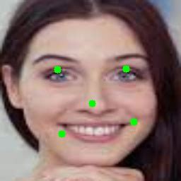 Github Rzamarefat Facial Key Point Detection A Facial Key Point Detection Using Mobilenetv