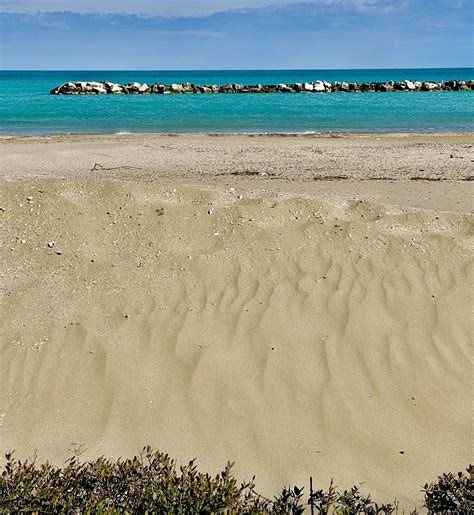 Lupo Lido Di Savio