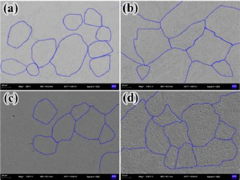 Sem Photographs Of The Microstructure In The Hardening Layer And