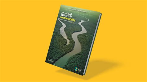 Livro O Que é Sustentabilidade Está Disponível Em Inglês Para