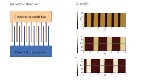 Electrostatic Force Microscopy Efm Park Systems
