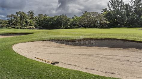 Golf Course Green Trimmed Grass On The Field Stock Image Image Of