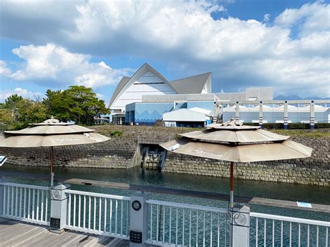 無料でイルカショーを見られる水族館に行ってきた ｜ ガジェット通信 Getnews