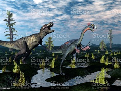Tyrannosaurus Rex Attacking Gigantoraptor Dinosaur 3d Render Stock