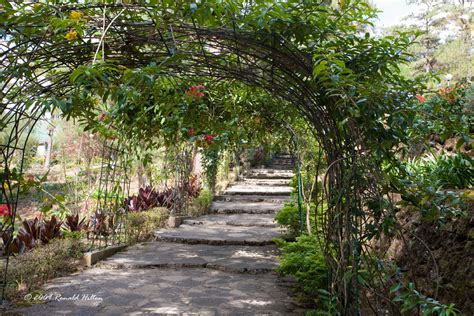Baguio City Botanical Garden | Baguio Botanical Garden, also… | Flickr