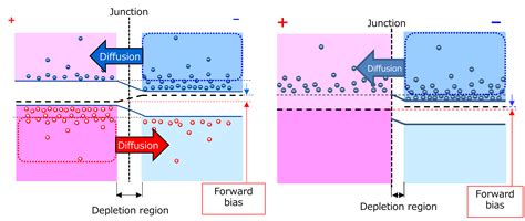 Schottky Diode Reverse Bias At Peter Chavez Blog