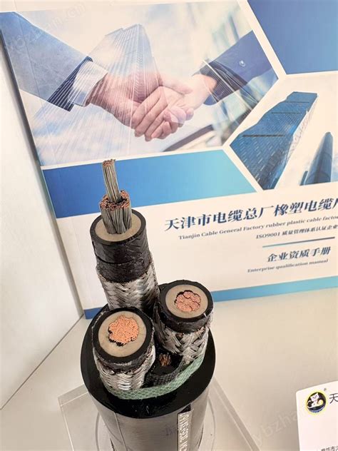 供应矿用移动金属屏蔽橡套软电缆MYPT 矿用移动金属屏蔽橡套软电缆MYPT供货期 仪表网