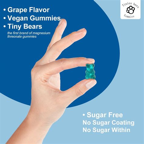 Magnesium Threonate And Glycinate Gummies 500mg Sugar Free Natural Fruits Flavor Vegan
