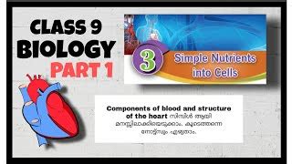 Class 9 Biology SCERT Chapter 3 Simple Nutrients Into C Doovi