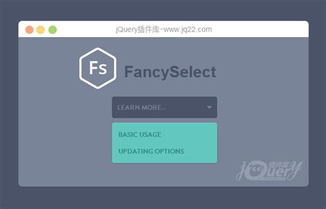 Jquery选择框插件fancyselect