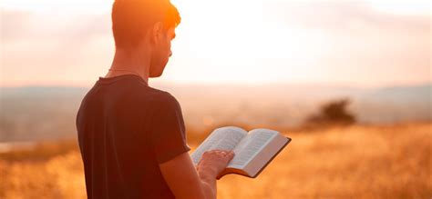 Número y Organización de los Libros en la Biblia