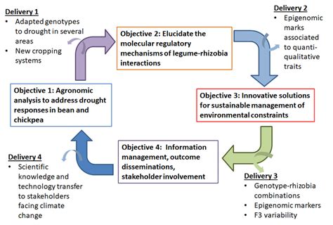 Objectives And Deliverables Of The Research Proposal Download