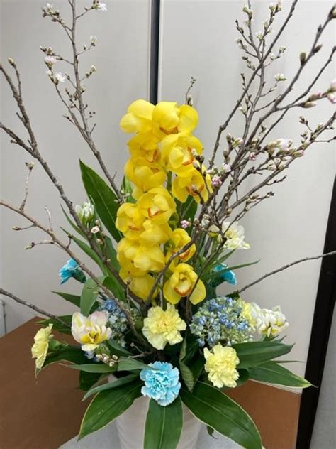 シンピジューム今週の花 スタッフブログ 愛知県豊橋市の精神科病院 可知記念病院