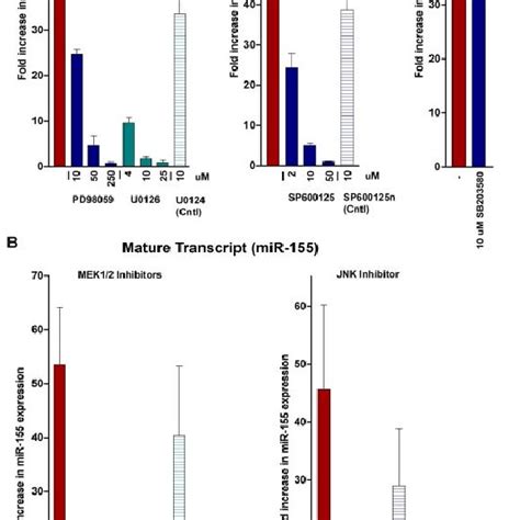 Induction Of Junb C Fos And Fosb Is Inhibited By Erk And Jnk