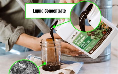 AgroThrive All Purpose Organic Liquid Fertilizer Review Hydroponic