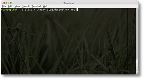 Creando Alias En Gnu Linux