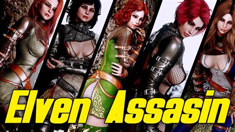 Fallout 4 Elven Assasin By Raccoonroll On Deviantart