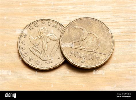 20 Hungarian Forints Two Twenty Forint Coins Side And Reverse Object