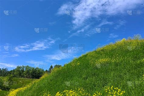 花圃的田园景观。