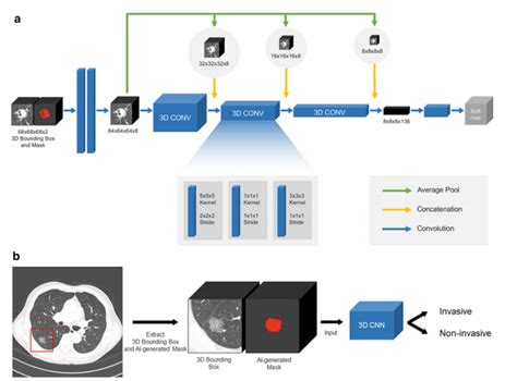 深度学习标书设计 预实验服务：深度学习区分浸润性腺癌与预浸润性或微创性病变 知乎
