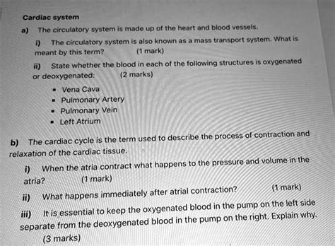 Cardiac System A The Circulatory System Is Made Up Of The Heart And Blood Vessels I The