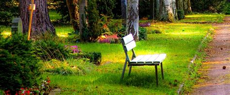 Alx Service Company In Hyderabad India