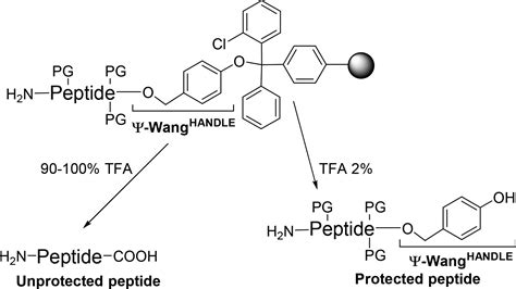 Peptide Condensation
